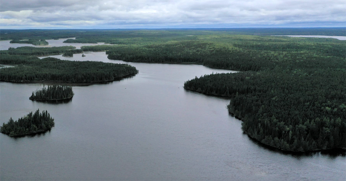 Ardiden (ASX:ADV) counts its pennies at Pickle Lake