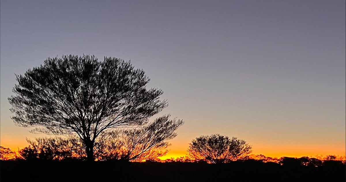 Mt Monger Resources (ASX:MTM) flag nickel deposit potential at Seahorse