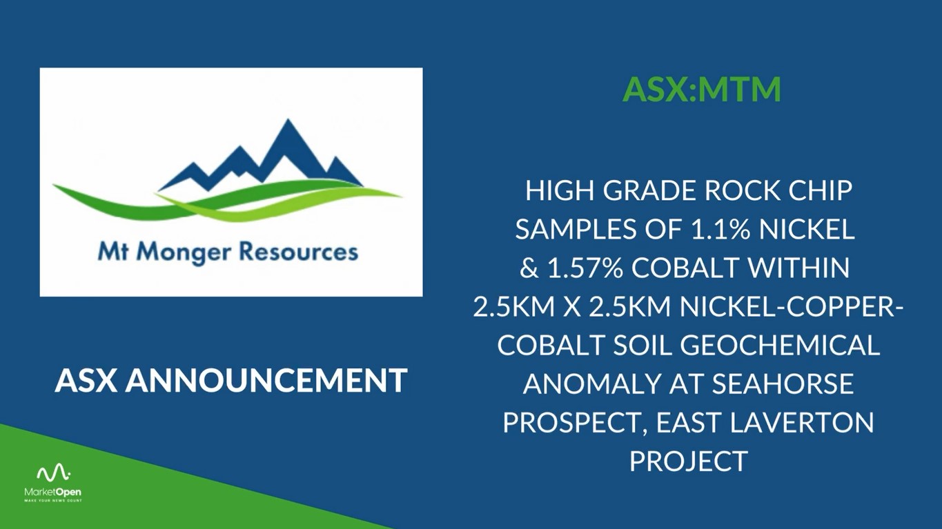 MT Monger flag potential nickel deposit at Seahorse