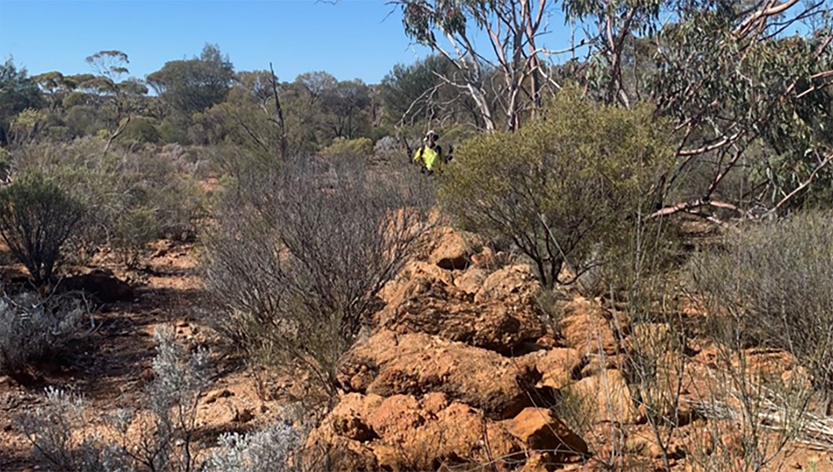 Forrestania (ASX:FRS) see a path of LCT in the Eastern Goldfields