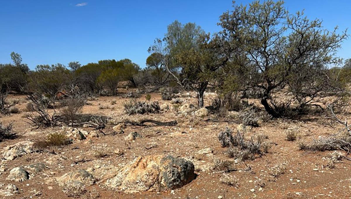 Estrella (ASX:ESR) stack Carr Boyd pegmatite – MarketOpen Australia