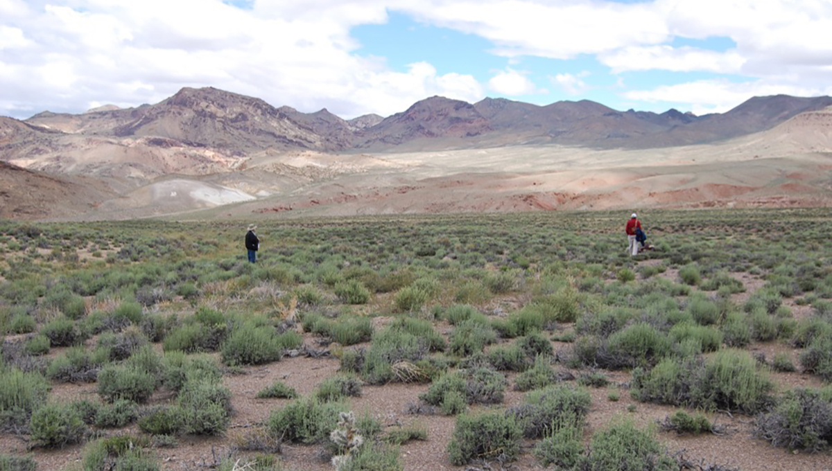 Ioneer (ASX:INR) to hit another lithium-boron milestone at Rhyolite ...