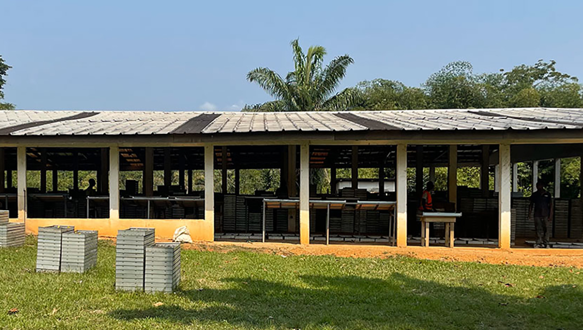 Turaco (ASX:TCG) tastes compelling first strikes from auric Afema on ...